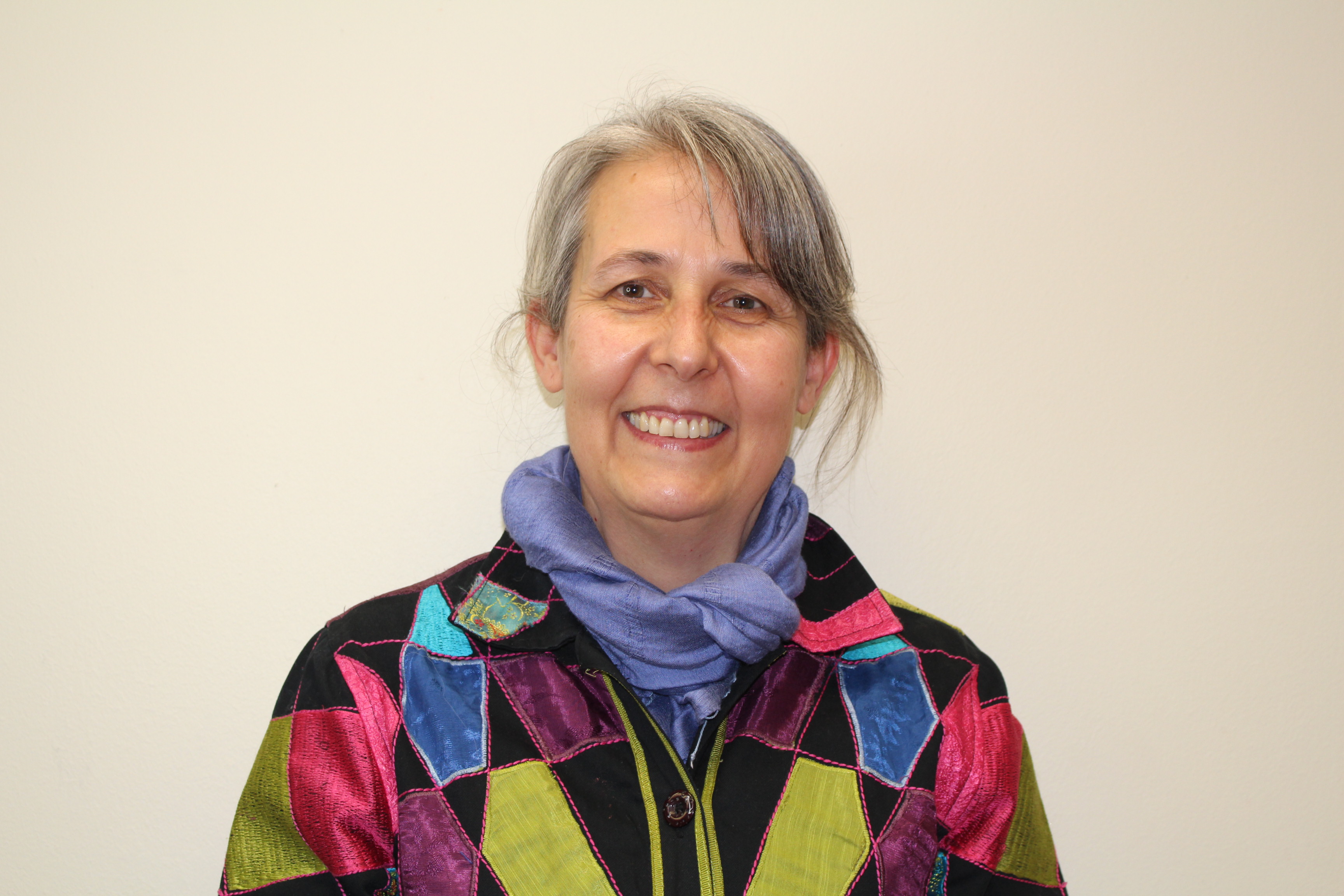 Aulas Conectadas y la innovación pedagógica | educarchile